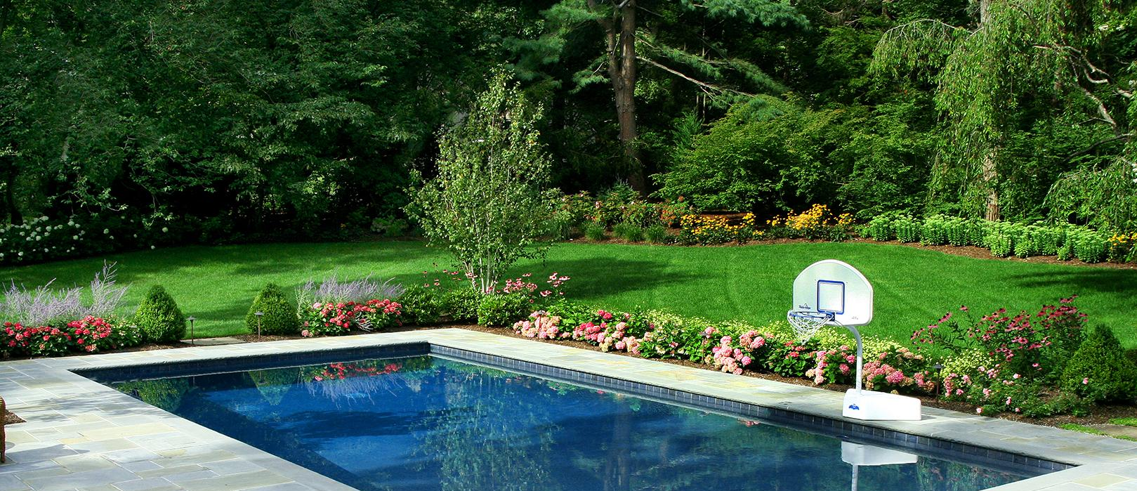 Pool Maintenance: What do I do if I have pool algae? The 7 basic steps ...